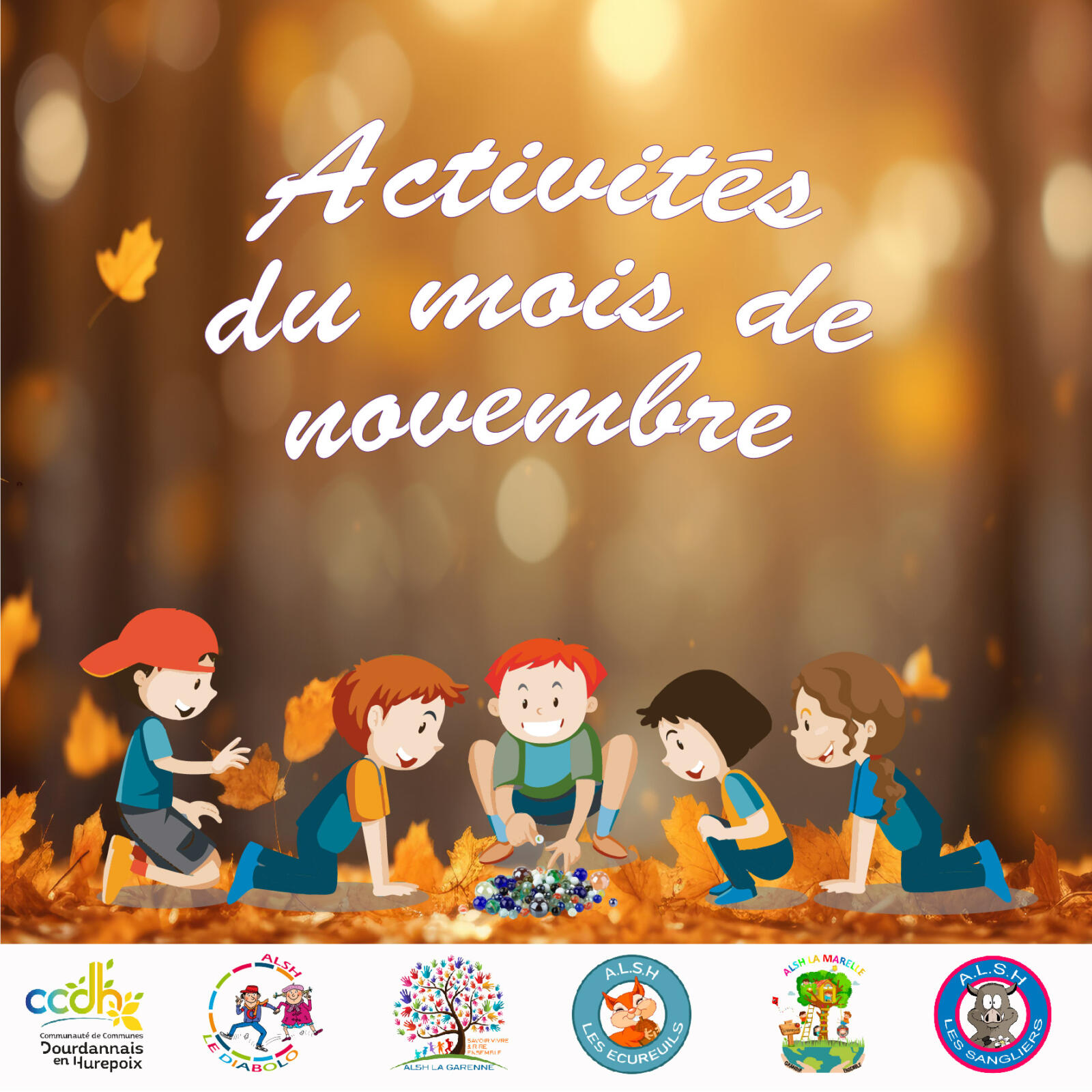 Les activités de novembre - CCDH